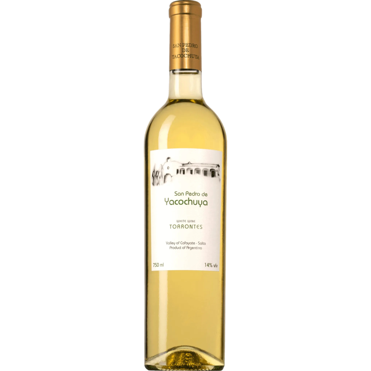 San Pedro de Yacochuya Torrontes 2021 | 8Wines France
