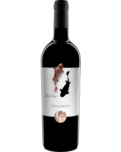 Les meilleurs vins rouges italiens par région en 2025