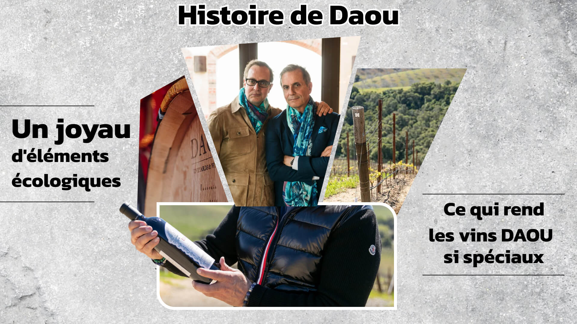 Guide complet des vignobles du DAOU